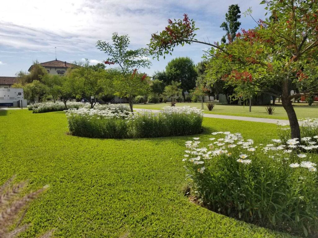Forma De Los Canteros Paizen